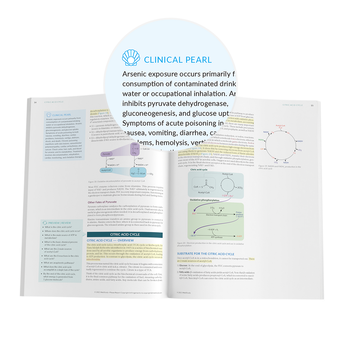 Medical Student Study Strong System – MedStudy
