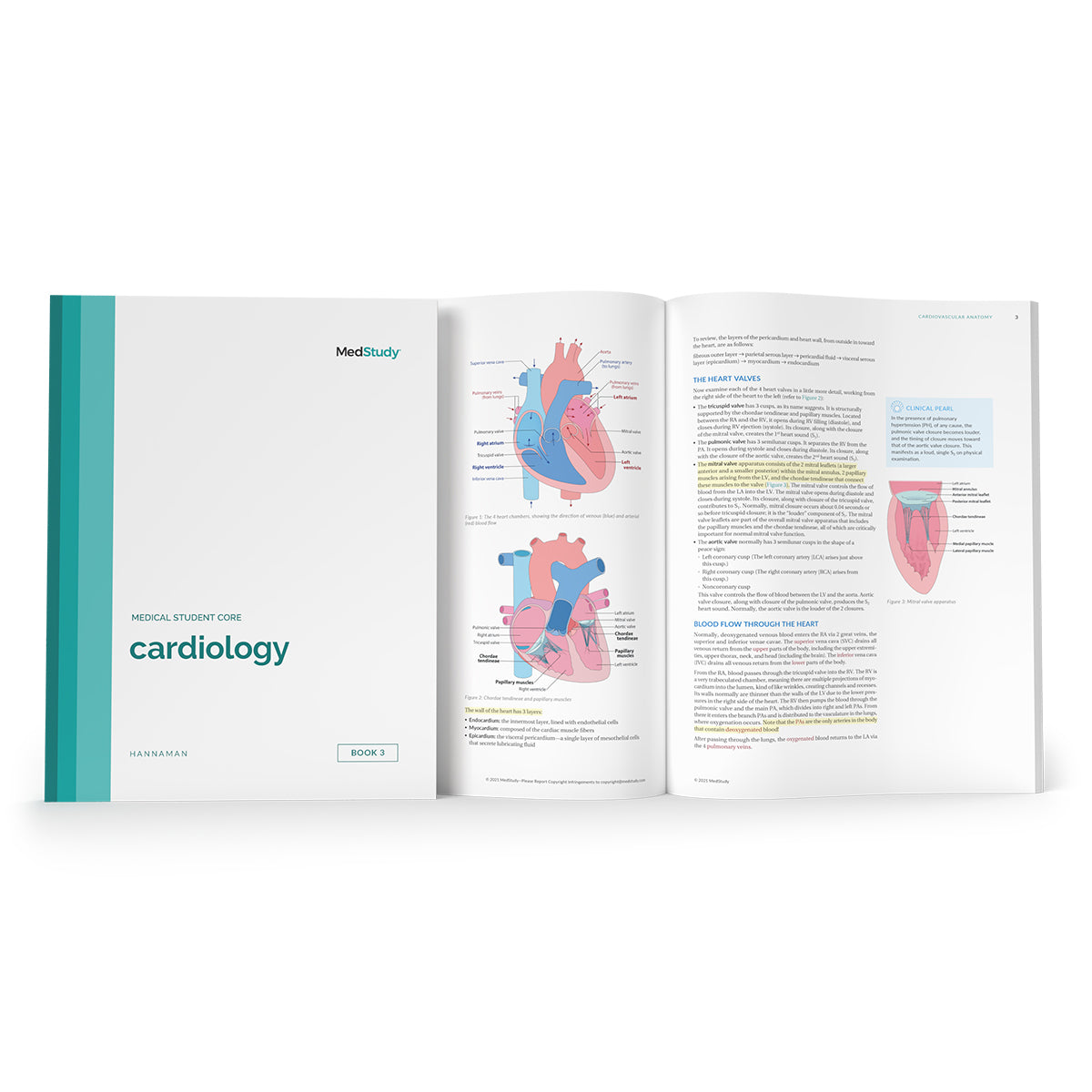 Medical Student Core: Cardiology Book – MedStudy