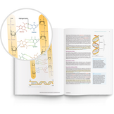 Medical Student Core – MedStudy