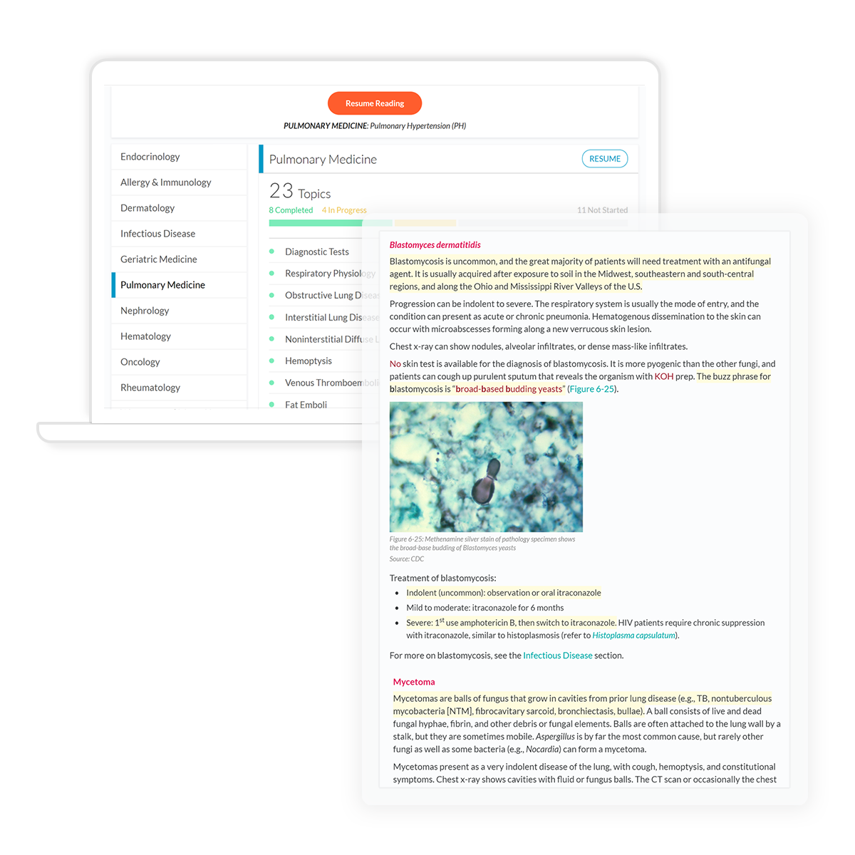 Internal Medicine Core – MedStudy